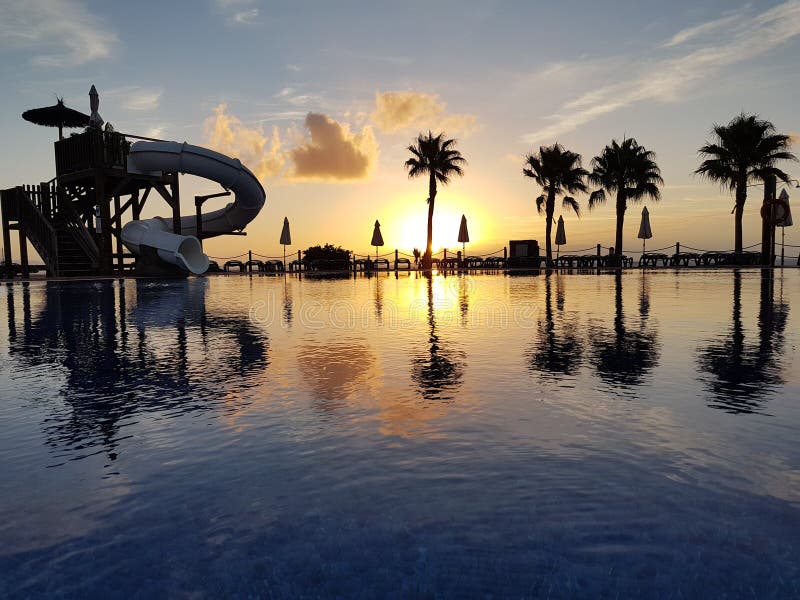 Sunrise by the Pool with Palm Trees Stock Photo - Image of holiday ...