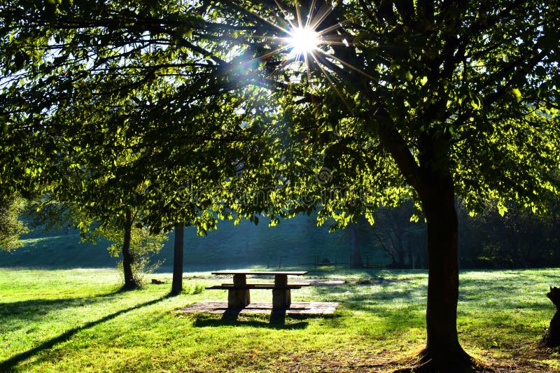 Sunrise in a Public Park with the Starry Sun Stock Image - Image of ...