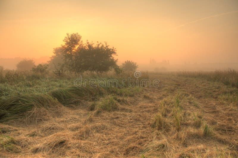 Sunrise at rally route stock image. Image of landscape - 69674703