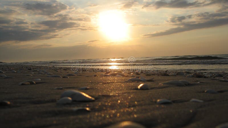 Sunrise at Raven Beach stock image. Image of raven, shell - 37261737