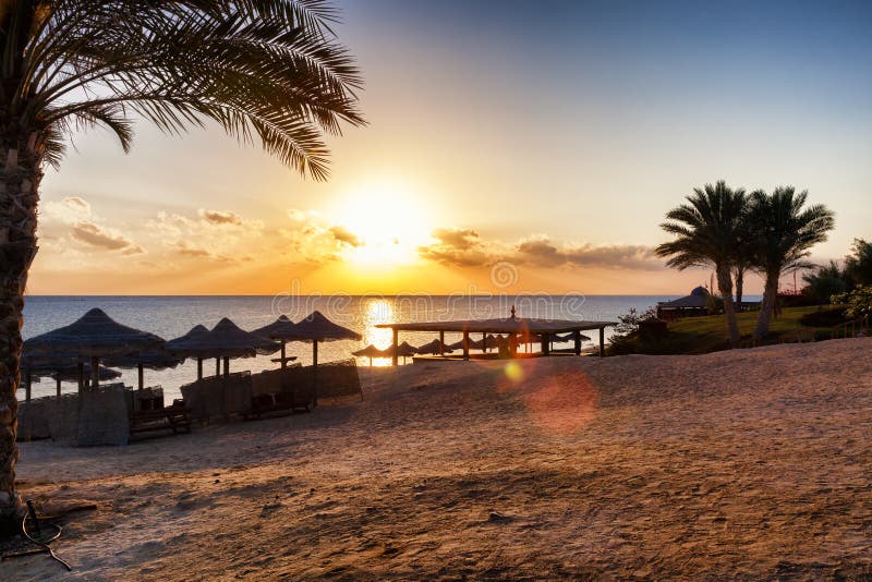 Marsa Alam beach in Egypt stock photo. Image of sharm - 37928328