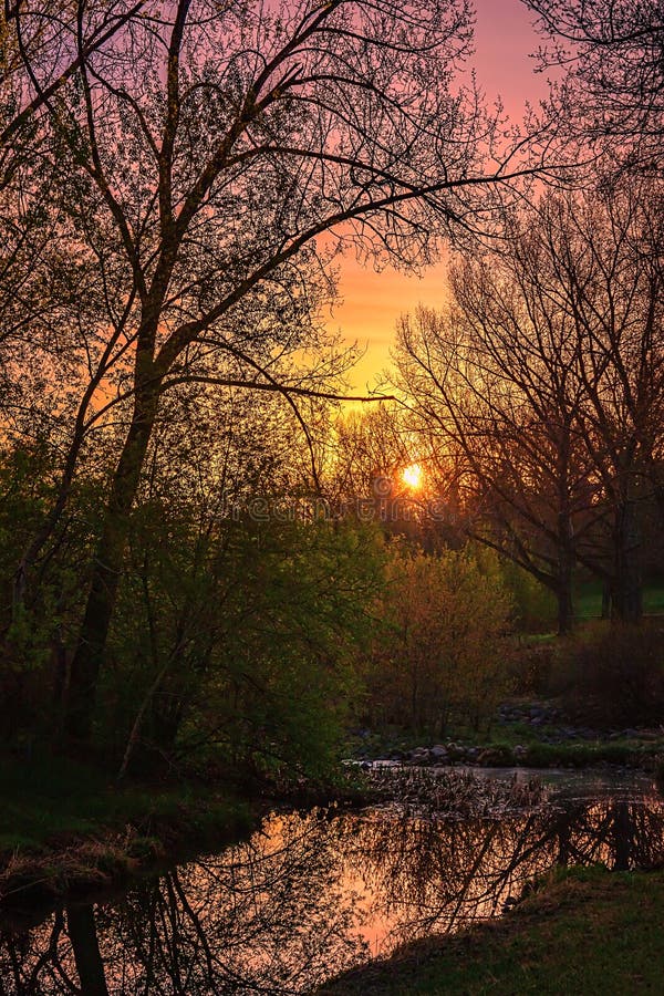Sunrise Reflections and Tree Silhouettes in a Spring Park Stock Image ...