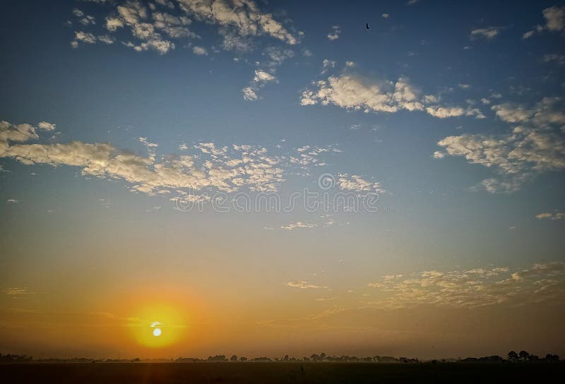 Sunrise in the rice fields stock image. Image of light - 222593417