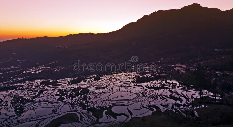 Sunrise at the Rice Terraces Stock Photo - Image of morning, ancient ...