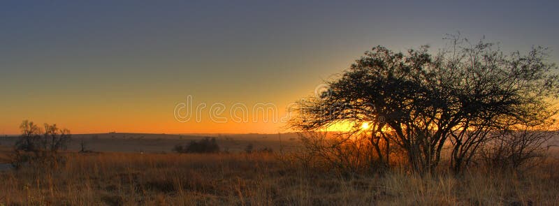 397 Bushveld Sunrise Stock Photos - Free & Royalty-Free Stock Photos ...