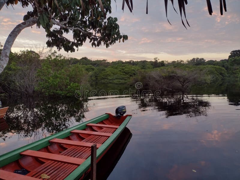 Sunrise of the Amazon Rainforest Stock Photo - Image of rainforest ...