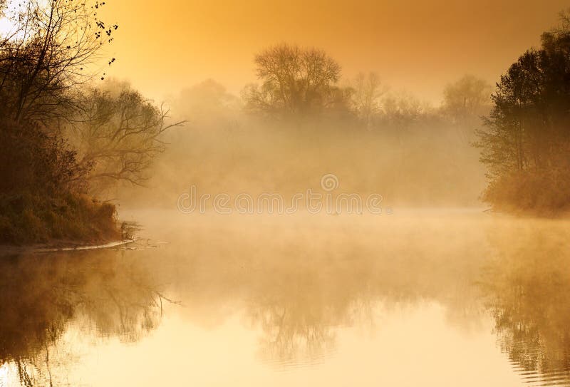 Sunrise on river stock photo. Image of stream, tree, horizontal - 16988550