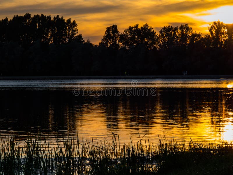 Sunrise on the river stock image. Image of water, pond - 63942631