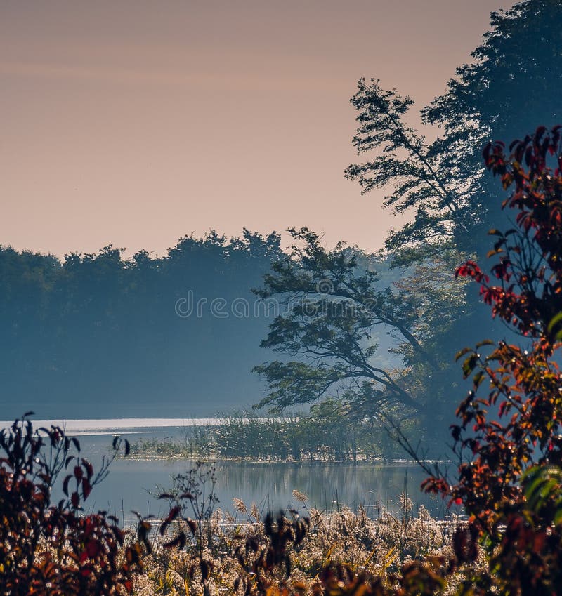 Sunrise on river stock photo. Image of river, summer - 108535466