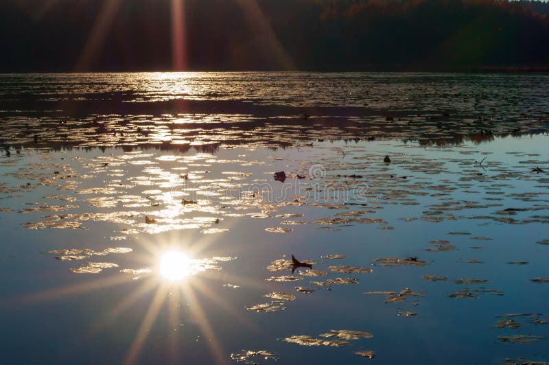 River With Reflection And Sun Rays Stock Photo - Image of background ...