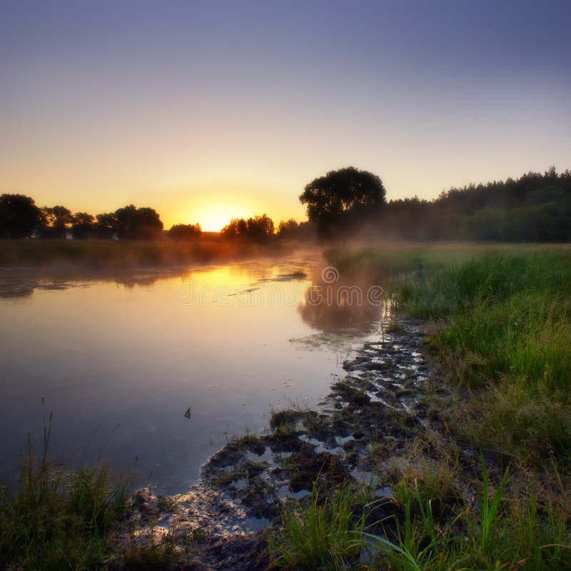 Sunrise in the river stock image. Image of dawn, tree - 56955005