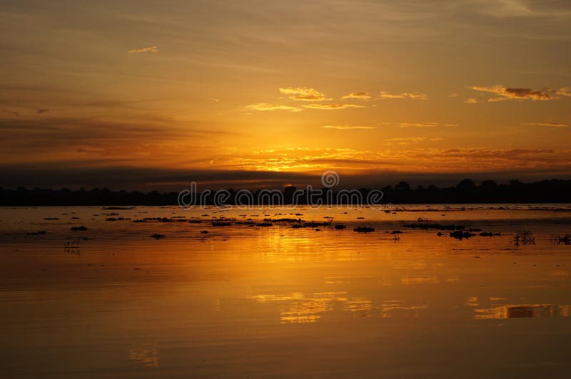 Sunrise on the river stock image. Image of forest, colorful - 74343273