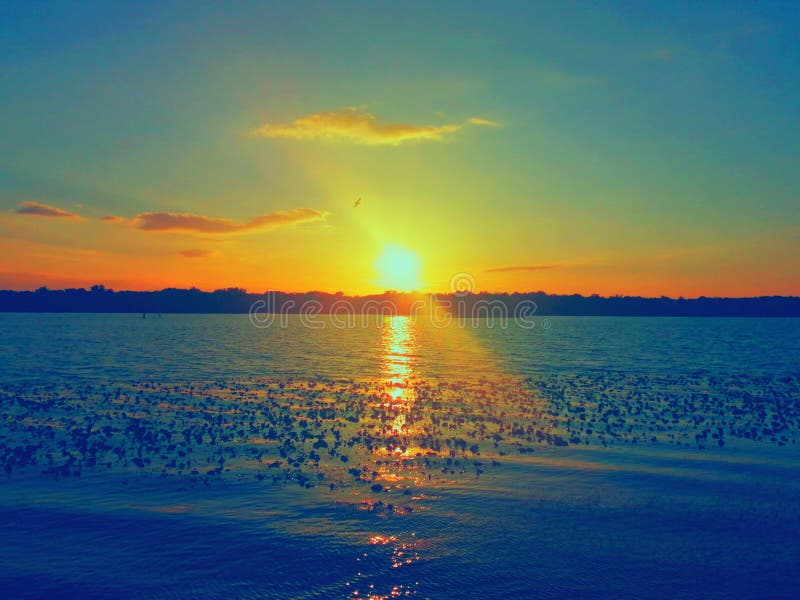 Sunrise on riverside stock photo. Image of dniepr, morning - 231177172