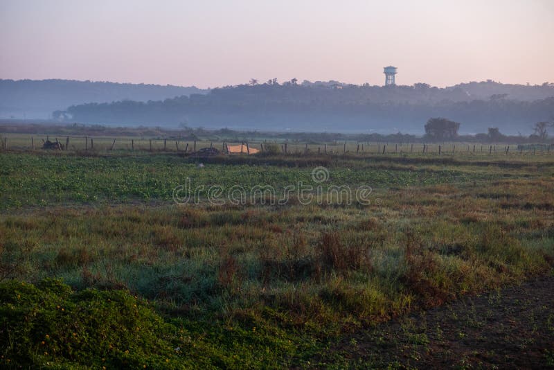 Sunrise, Road in Indian Fields Stock Image - Image of india, nonurban ...