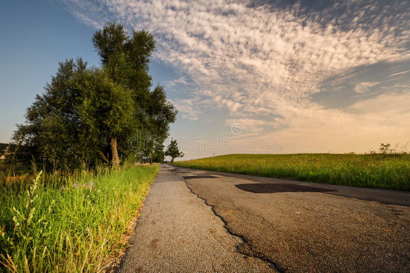 Sunrise, Road Lined with Grass and Trees Stock Photo - Image of ...