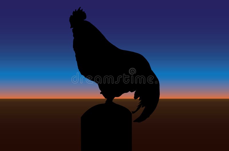 Sunrise Rooster on a Post stock vector. Illustration of evening - 255360376