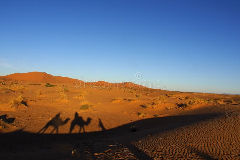 Sunrise in the Sahara Desert Marocco Stock Photo - Image of camels ...