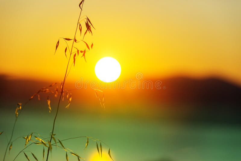 Sunrise scene stock image. Image of crimea, wild, coast - 7883397