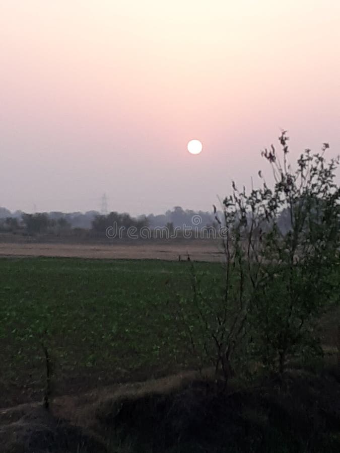 Bihar Stock Photos - Download 4,591 Royalty Free Photos