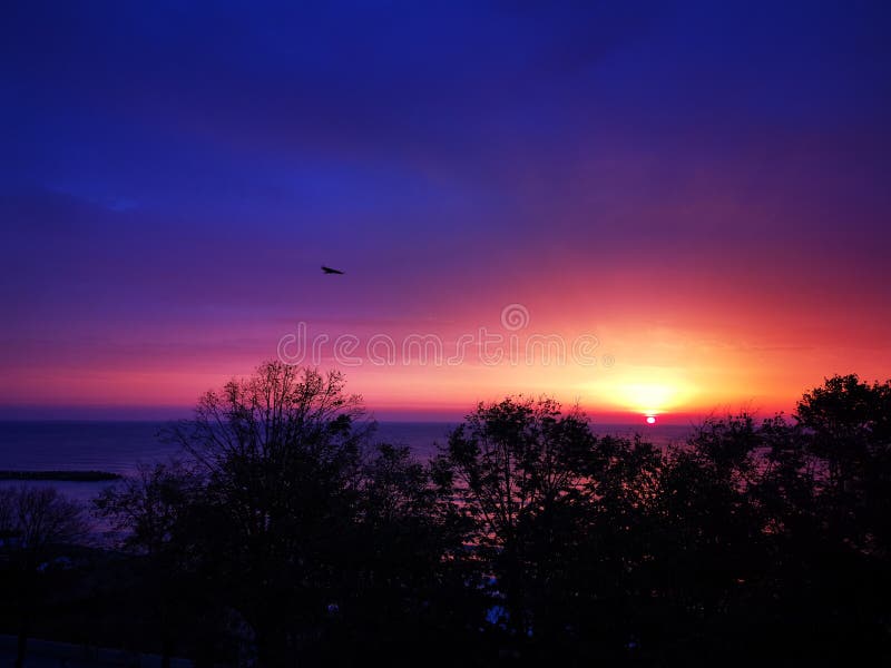 Sunrise by the Sea and Trees on the Shore Stock Photo - Image of beach ...