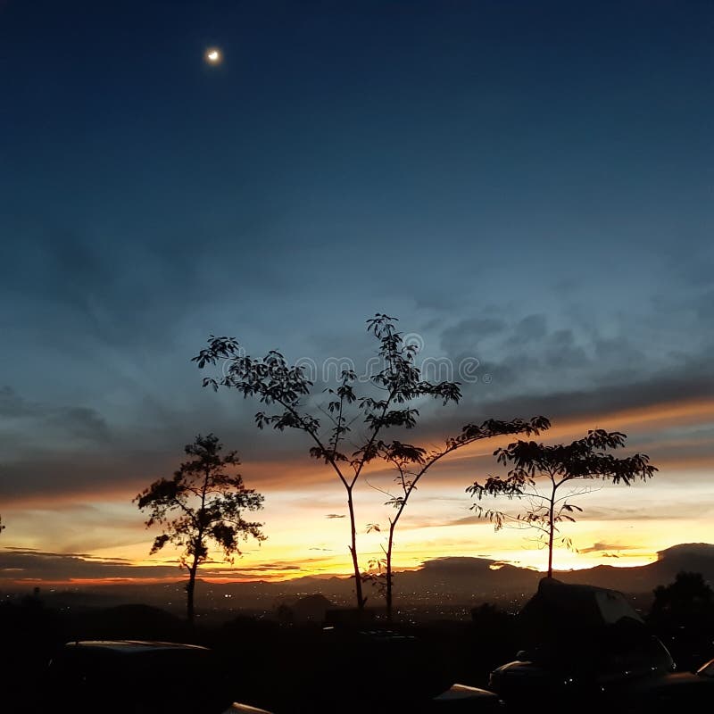 Seureuh Stock Photos - Free & Royalty-Free Stock Photos from Dreamstime