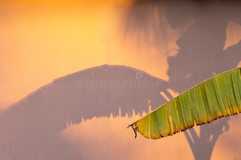 Sunrise shadow stock photo. Image of orange, light, landscape - 273397274
