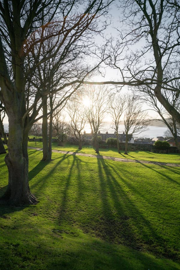 Sunrise, Shadows, Silhouettes, Trees Stock Photo - Image of scarborough ...