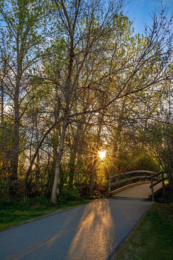 Sunrise Shining Over a Park Path Stock Photo - Image of sunshine ...