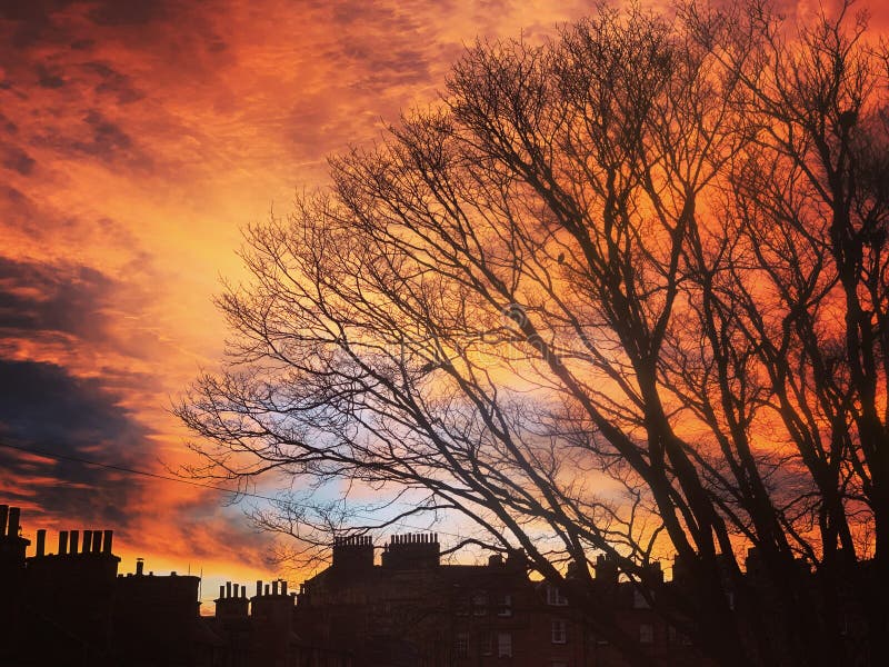 Sunrise Sky on Fire Edinburgh Stock Photo - Image of plant, scenery ...