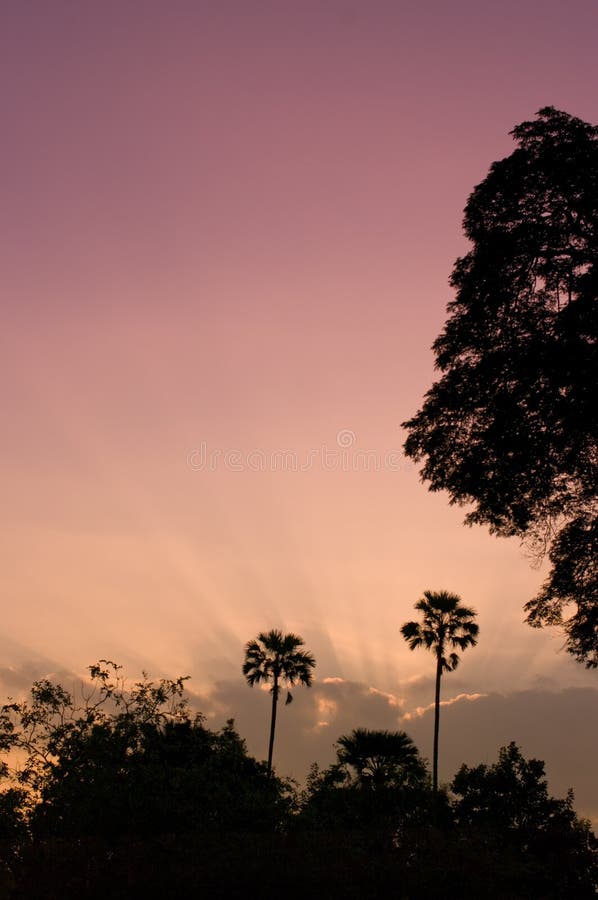 Sunrise Sky, Nice Nature Light Stock Photo - Image of nice, violet ...