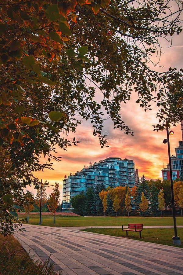 Sunrise Sky Over a Fall City Park Stock Image - Image of sunrise, urban ...