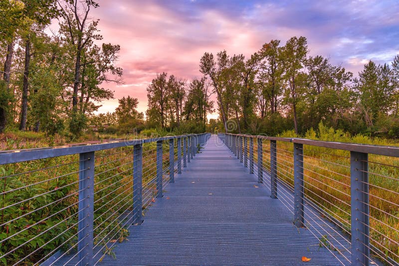 Sunrise Sky Over a Summer Park Walkway Stock Image - Image of sunrise ...