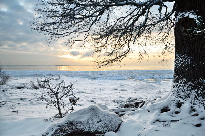 Sunrise on Snow-covered Sea Shore. Stock Image - Image of seaside ...