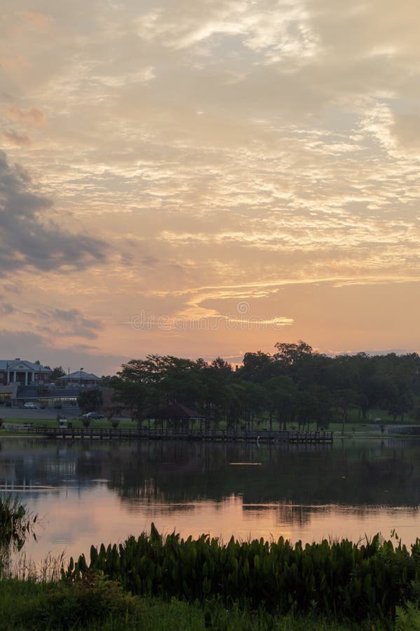 Sunrise in the South stock photo. Image of south, southern - 125185404