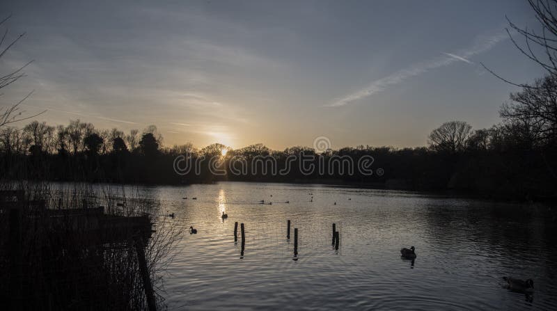 Sunrise stock image. Image of bright, coast, beautiful - 89656319