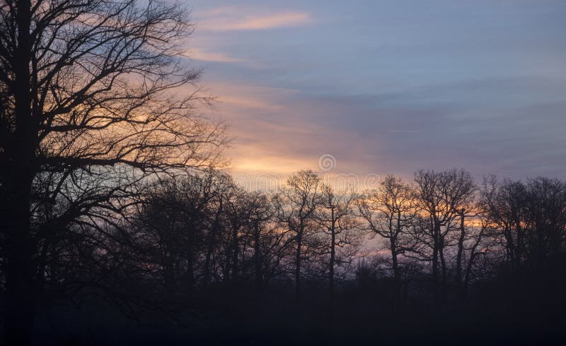 Sunrise stock image. Image of light, morning, labradors - 89656377