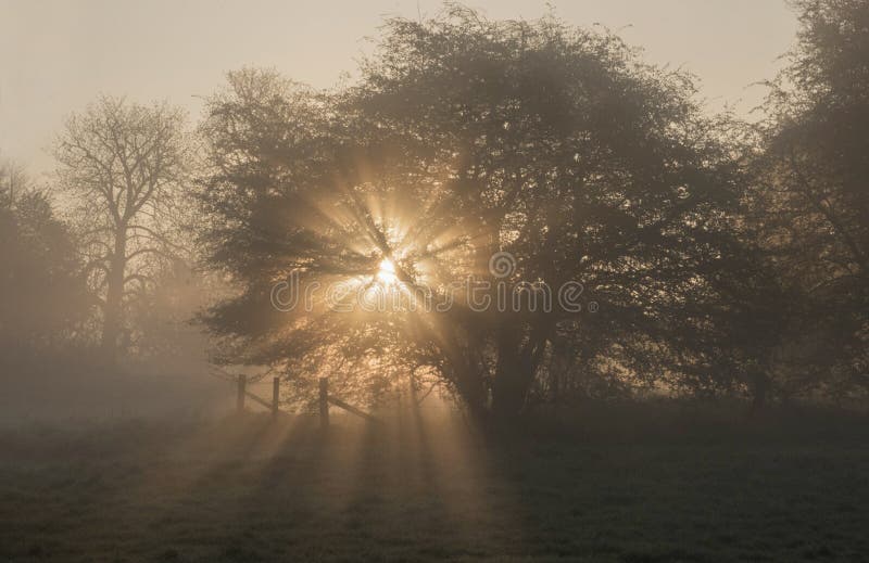 Sunrise stock image. Image of beautiful, fantasy, color - 90097739