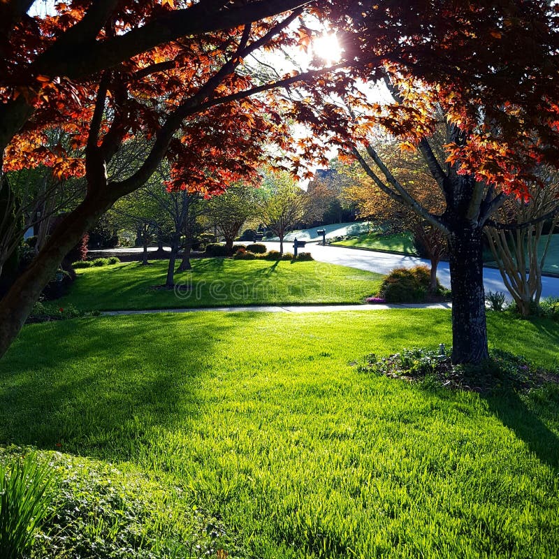 Sunrise street stock photo. Image of yard, sunrise, view - 69976166