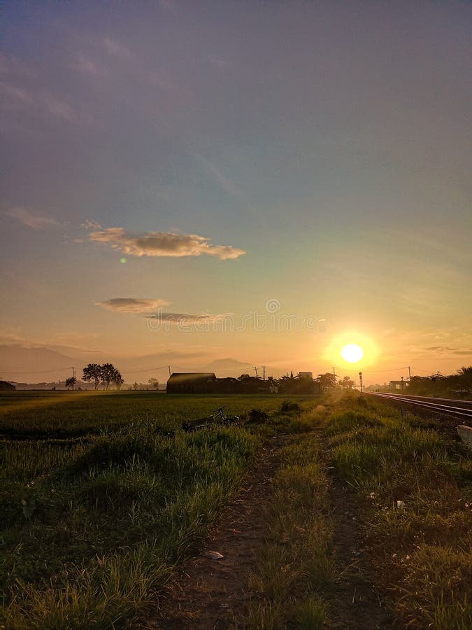 Sunrise with a Stretch of Rice Fields Stock Image - Image of railway ...