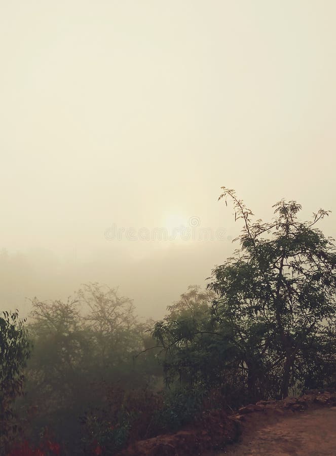 Sunrise summer rise stock photo. Image of nature, rise - 277793816