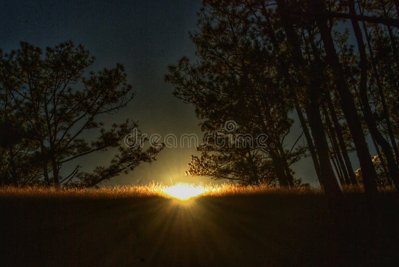 Sunrise stock image. Image of dawn, forest, mountains - 133413457