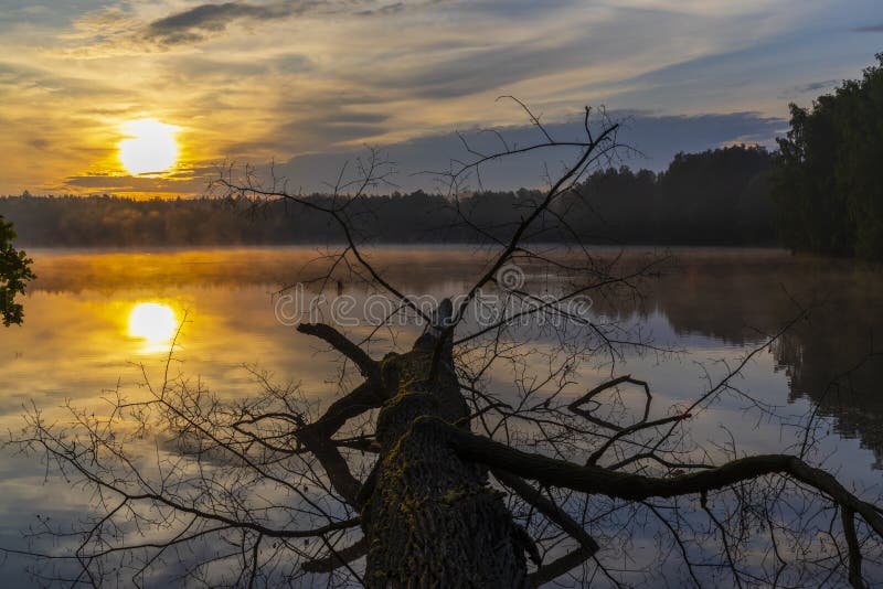 Sunrise Sun Over Pond, Trebon, Czech Republic Stock Image - Image of ...