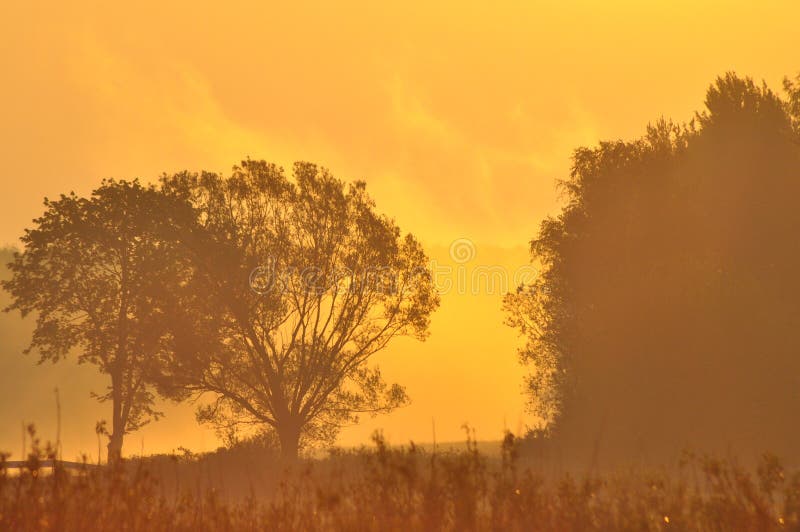 Sunrise. Sunny Morning. the Sun`s Rays at Dawn Stock Photo - Image of ...