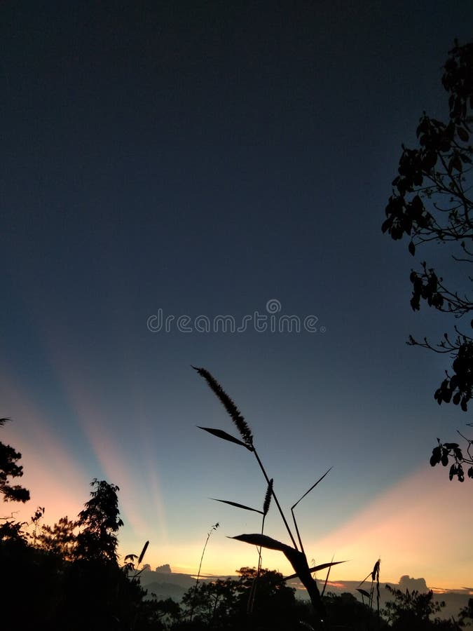 Early Morning Photo of Sun with Its Rays Illuminating Stock Photo ...