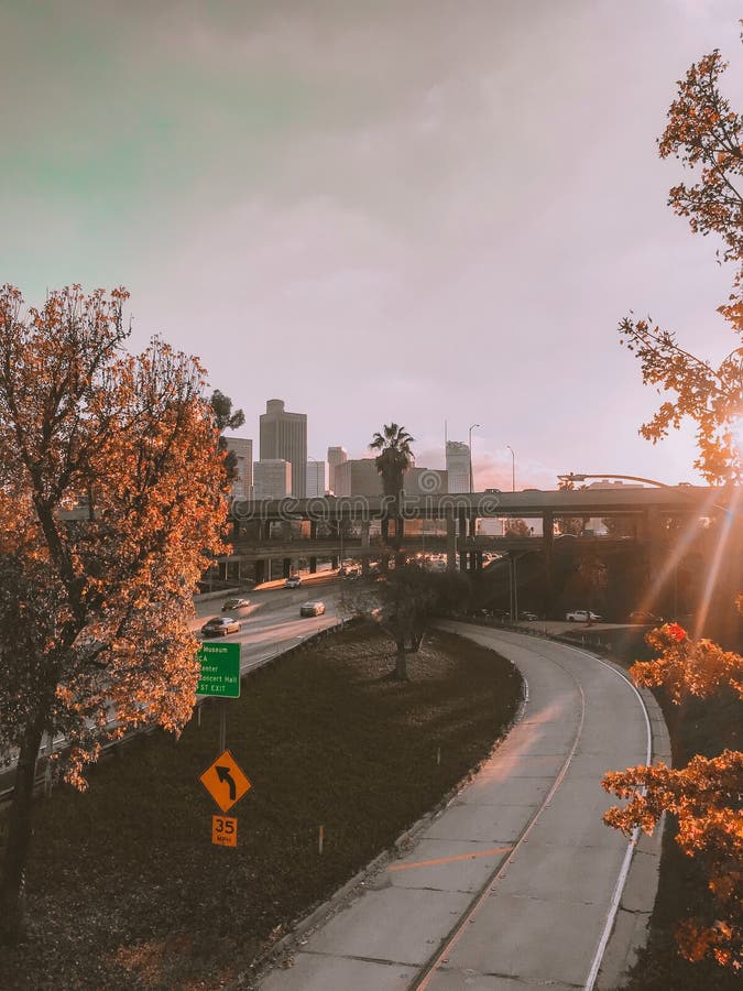 Sunrise stock image. Image of road, bridge, trees, sunrise - 222839833