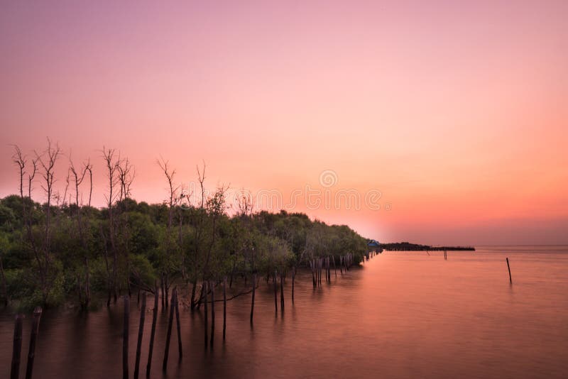 Sunrise at Thai gulf stock photo. Image of light, beautiful - 88333614