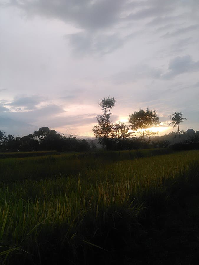 Sunrise stock image. Image of nice, beauty, work, fhotos - 70352269