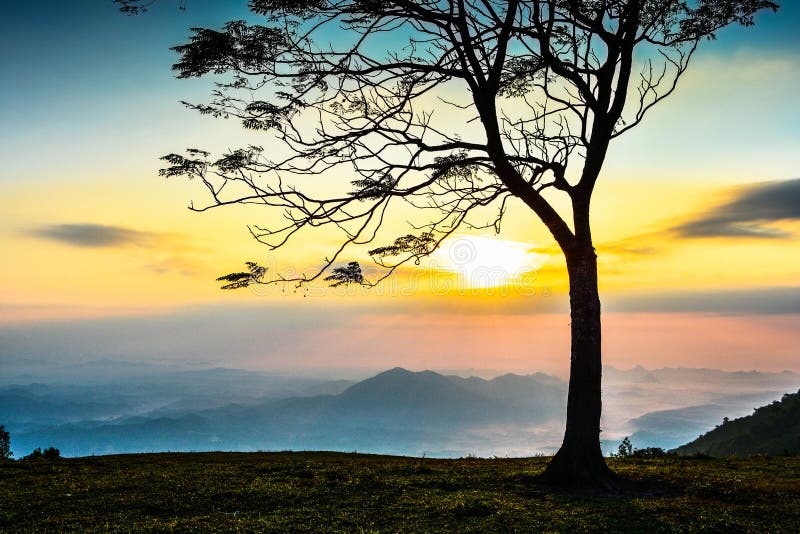 Beautiful Sunrise Farm stock photo. Image of beautiful - 68983482