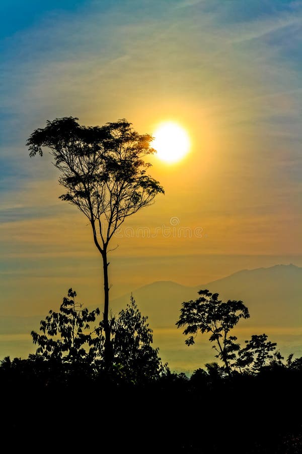 After sunrise stock photo. Image of sunrise, java, green - 46384882