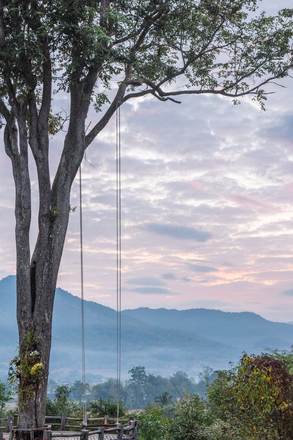 Sunrise at Tree Swing of Mari Pai in Pai, Thailand Stock Photo - Image ...